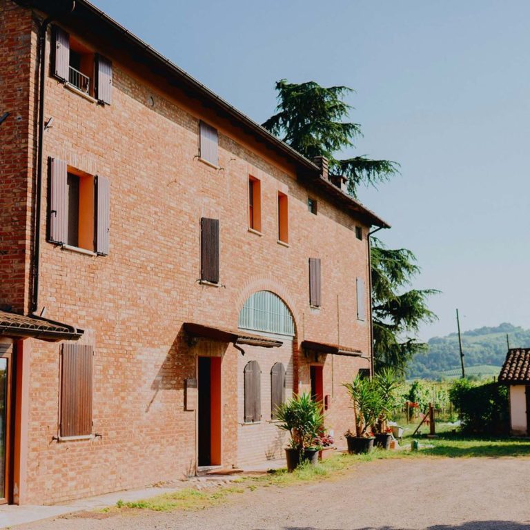 Wines - Visit Castelvetro