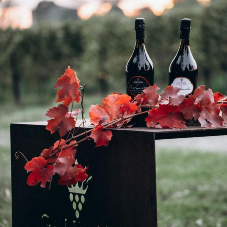 Wines - Visit Castelvetro