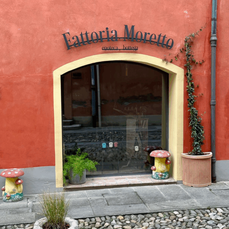 Enoteca & bottega di Fattoria Moretto - Visit Castelvetro